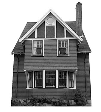 These Houses Look Like Faces | RealClearScience
