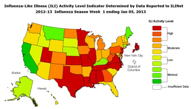 Key Stats for the 2012-2013 Flu Season | RealClearScience