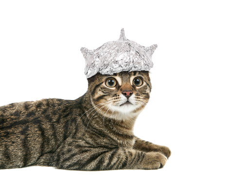 Six Phenomena That Keep Conspiracy Theorists Awake | RealClearScience