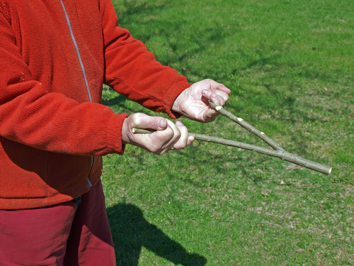#10. New Australian Science Chief Supports Water Dowsing | RealClearScience