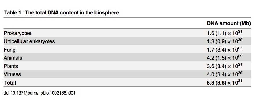 How Much DNA Is There on Earth? | RealClearScience